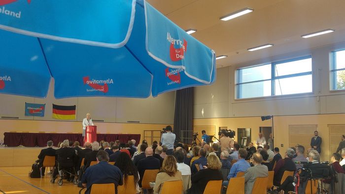 Far-right Afd Launches The ‘non-Kosher Alternative For German Jews ...