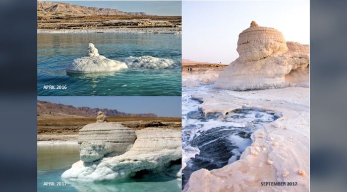 The Fight To Breathe Life Back Into The Dead Sea - i24NEWS