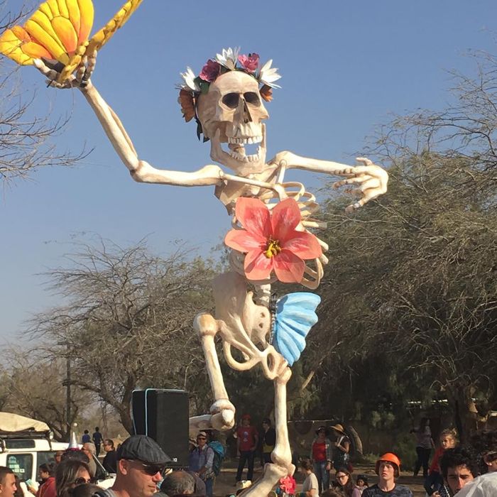 Purim Parade In Israeli Negev Highlights Festivities And Environmental ...