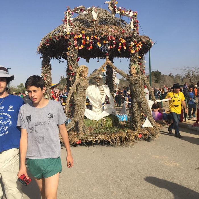 Purim Parade In Israeli Negev Highlights Festivities And Environmental ...