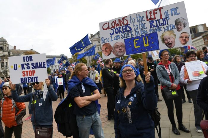 Party Members Join EU In Rejecting May's Brexit Plan - i24NEWS