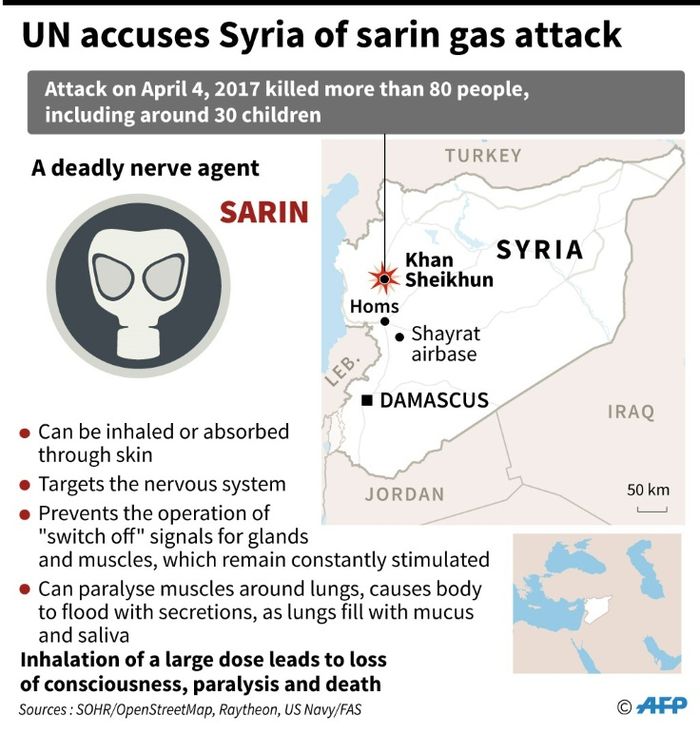 Russia Wants Security Council To Drop Syria Sarin Gas Attack Probe ...
