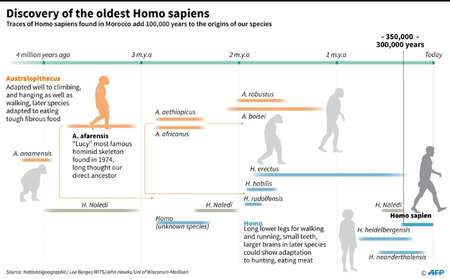 Homo Sapiens 100,000 Years Older Than Thought: Studies - I24news