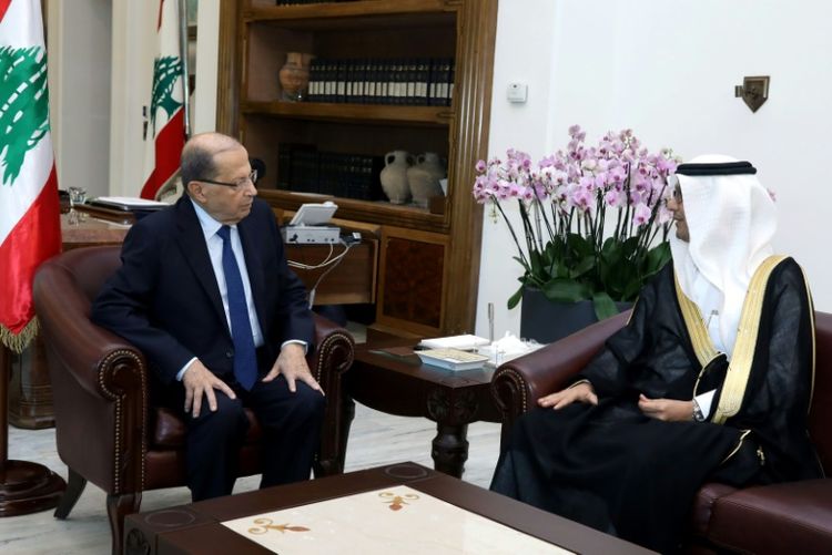 Liban : Un Ressortissant Saoudien Libéré Après Une Opération Spéciale ...