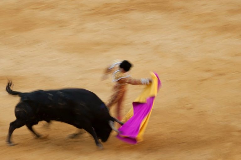 Spanish Matador Gored To Death In The Ring - i24NEWS
