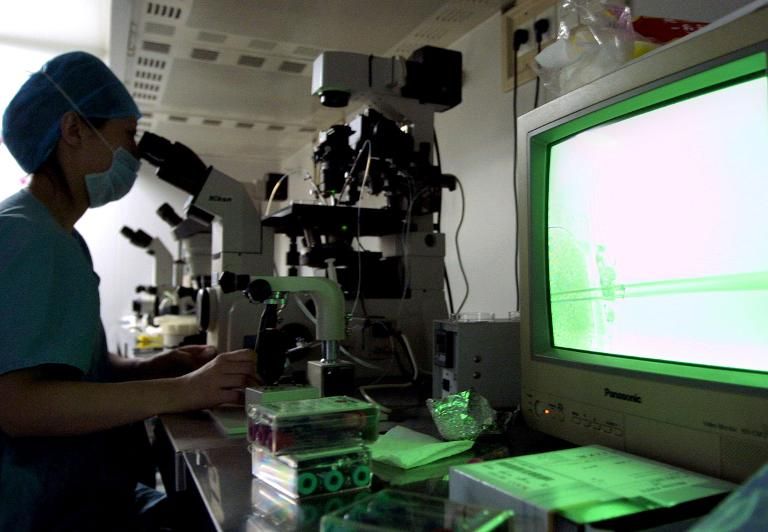 US Couple Sues Israeli-born Doctor, Fertility Clinic Over Embryo Mix Up ...