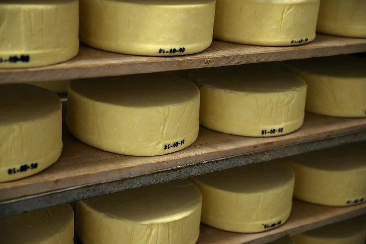 Italian Man Crushed To Death By Falling Parmesan Cheese Wheels - i24NEWS
