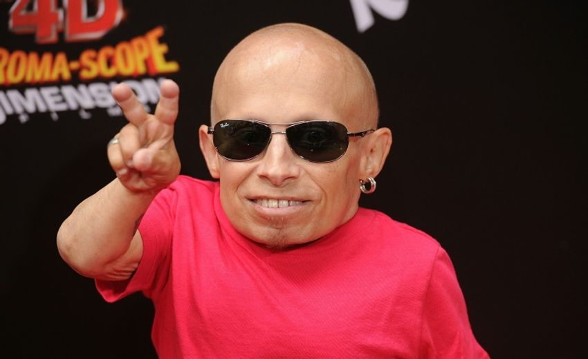 i24NEWS - 'Mini-Me' actor Verne Troyer dead at 49