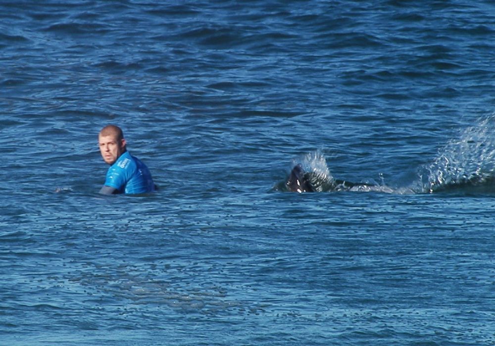 Surf Pro Fights Off S.Africa Shark Attack In Horror TV Footage - i24NEWS