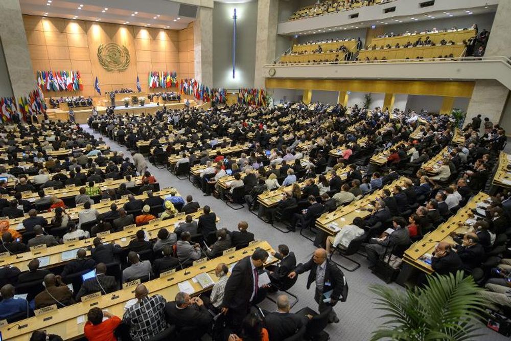 L'ONU Adopte Un Traité International Sur La Violence Et Le Harcèlement ...