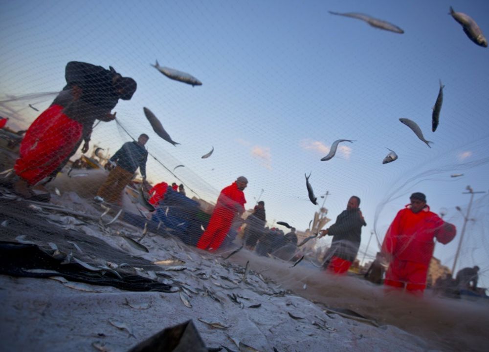 Israel To Extend Gaza Fishing Rights: Trade Union - i24NEWS