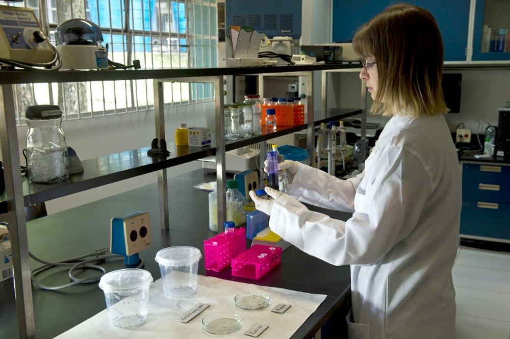 In World First, Israeli Biomedical Group Successfully Transplants Lab ...