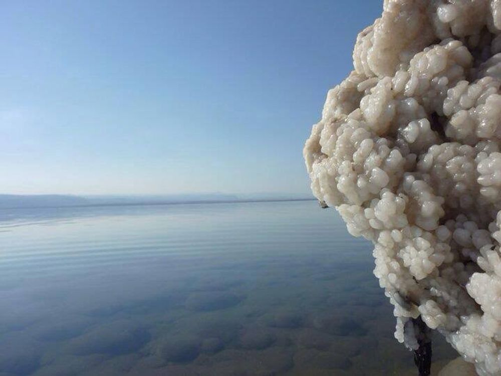 17 Bids For Red Sea-Dead Sea Canal Project: Jordan - i24NEWS