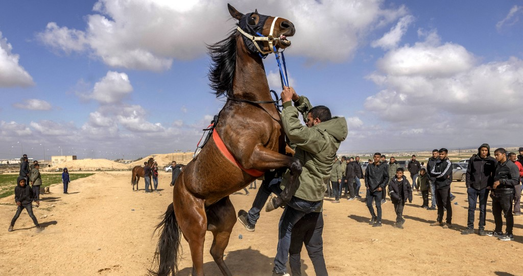 Off A Desert Highway, Israel Bedouins Rejoice In Horse Racing - i24NEWS