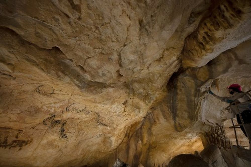 France: La Découverte D'une Dent Dans La Grotte De Mandrin Révèle La ...