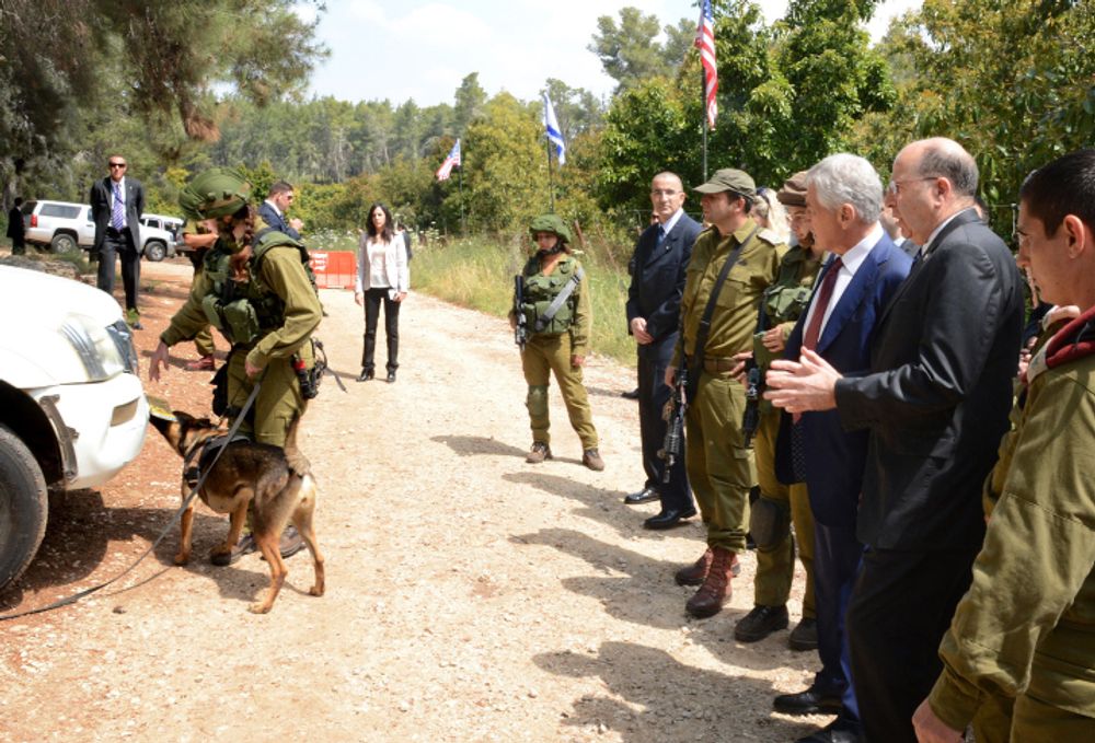 NGO: IDF Conducts 'cruel' Weapons Tests On Animals - i24NEWS