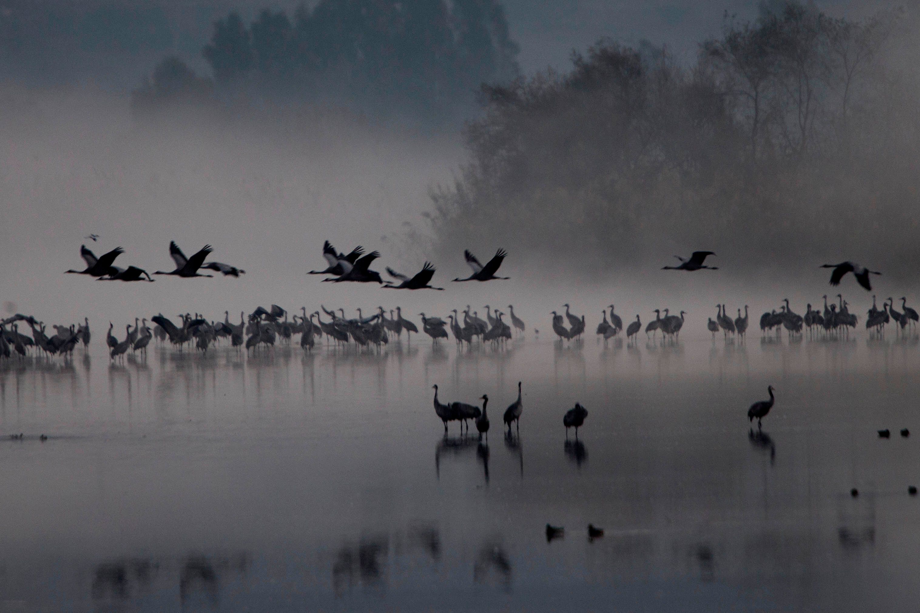 Northern Israel Lake Hot Fishing Spot For 10,000 Years, Archaeologists ...