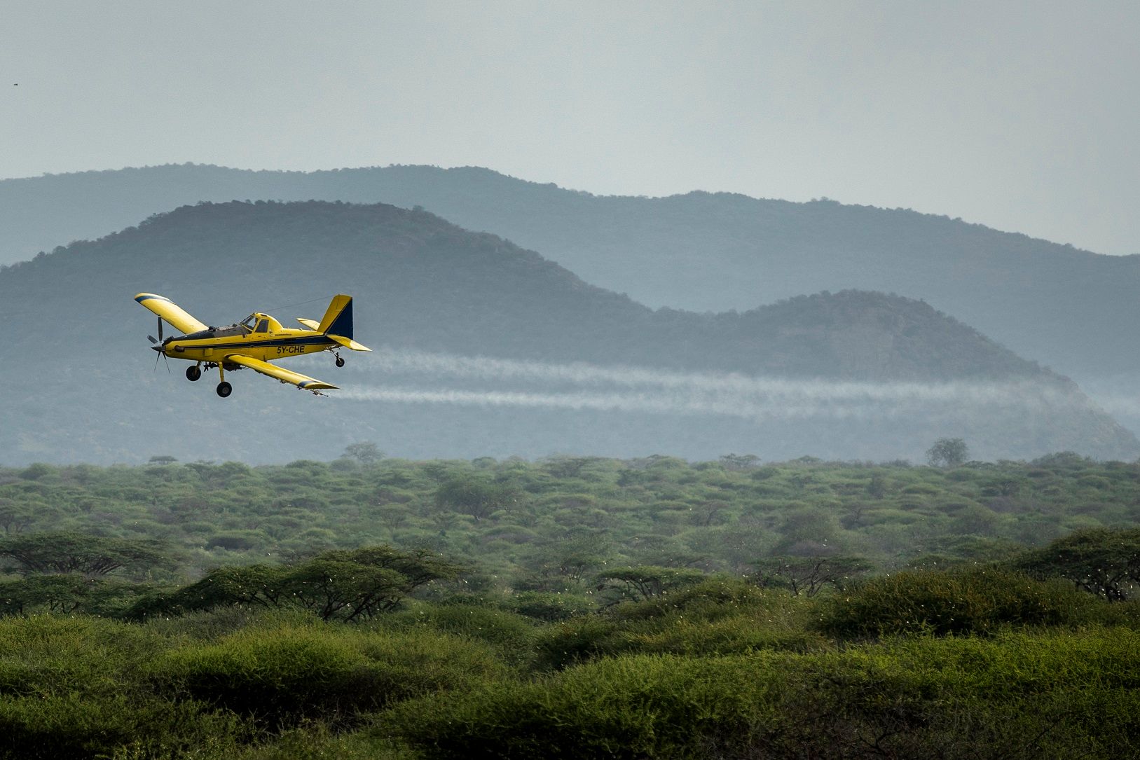 Giant Swarms Of Locusts Attack East Africa, Southeast Asia - i24NEWS