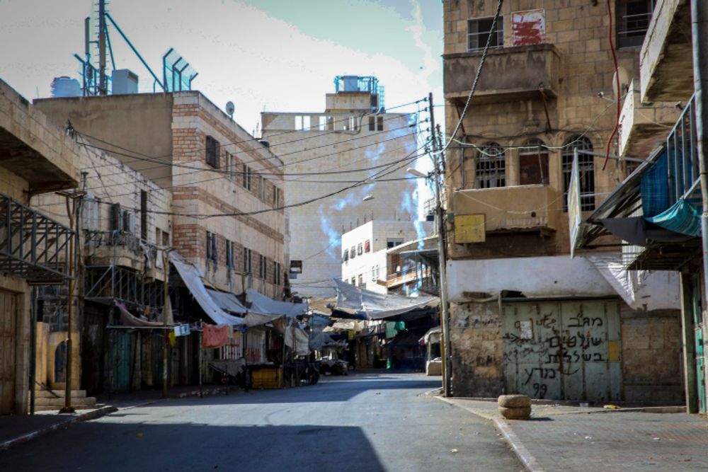 Hebron Mayor Sparks Outrage With Cash Rewards For Killing Stray Dogs ...