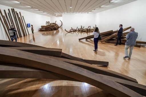 France : Une Expo À Visiter Nu À Lyon - i24NEWS