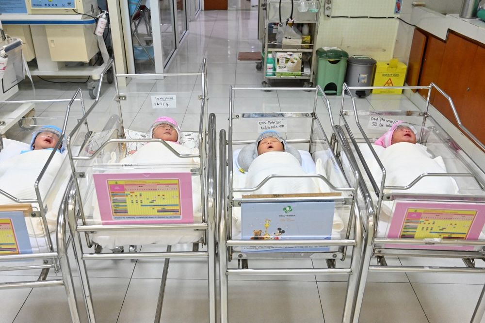 Israel: Researcher Wins Grant For Work On Sex Development - i24NEWS