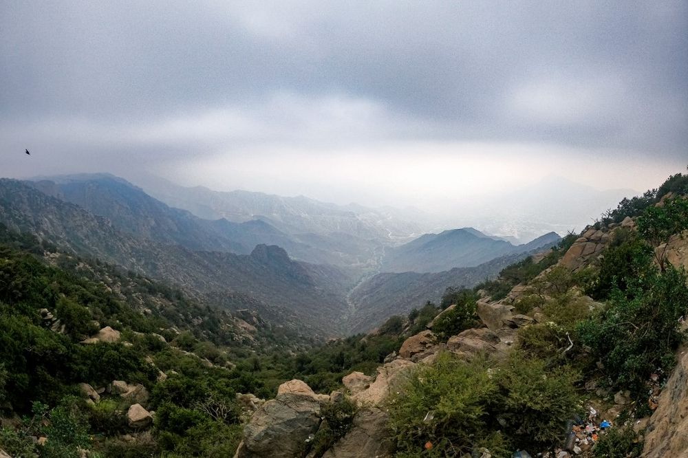 Sweltering Saudis Escape To Mountainous 'City Of Fog' - i24NEWS