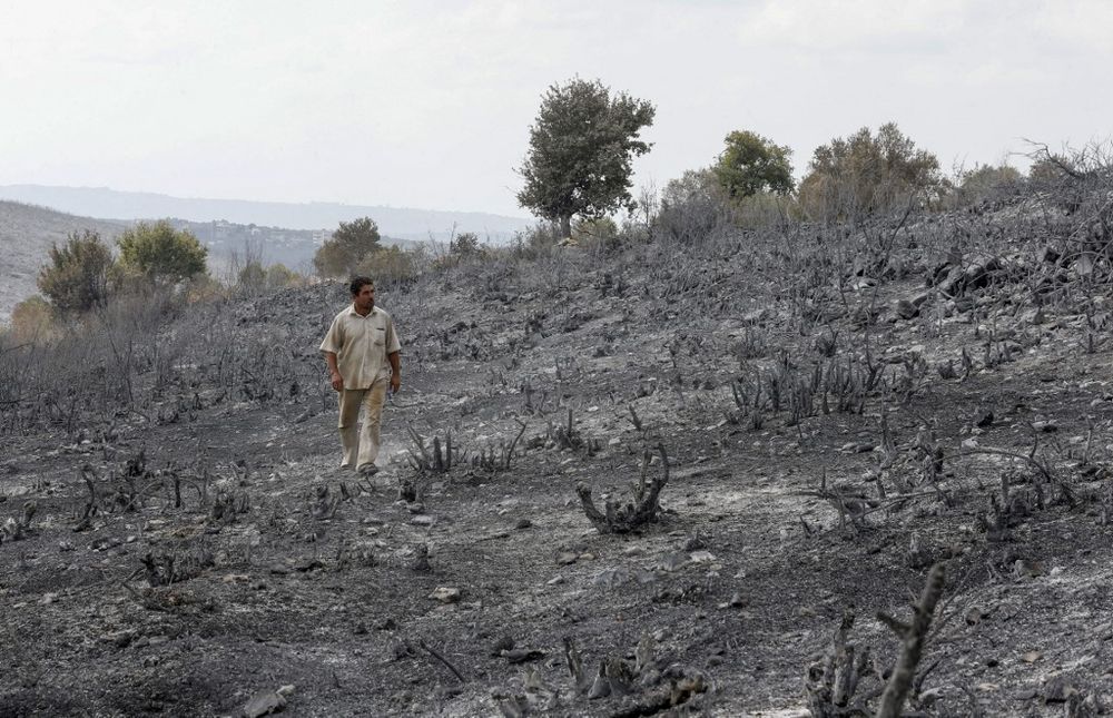 Syria: 24 People Executed For Starting Wildfires - i24NEWS
