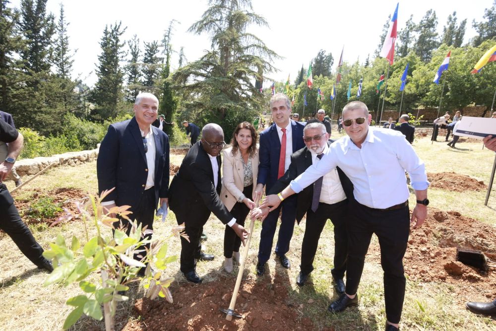75 Ambassadors Plant 75 Trees In Israel On Jewish State’s 75th ...