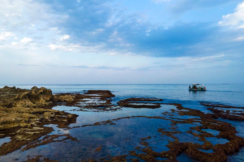 UN Ocean Treaty Talks Renew In Push To Save Biodiversity - i24NEWS