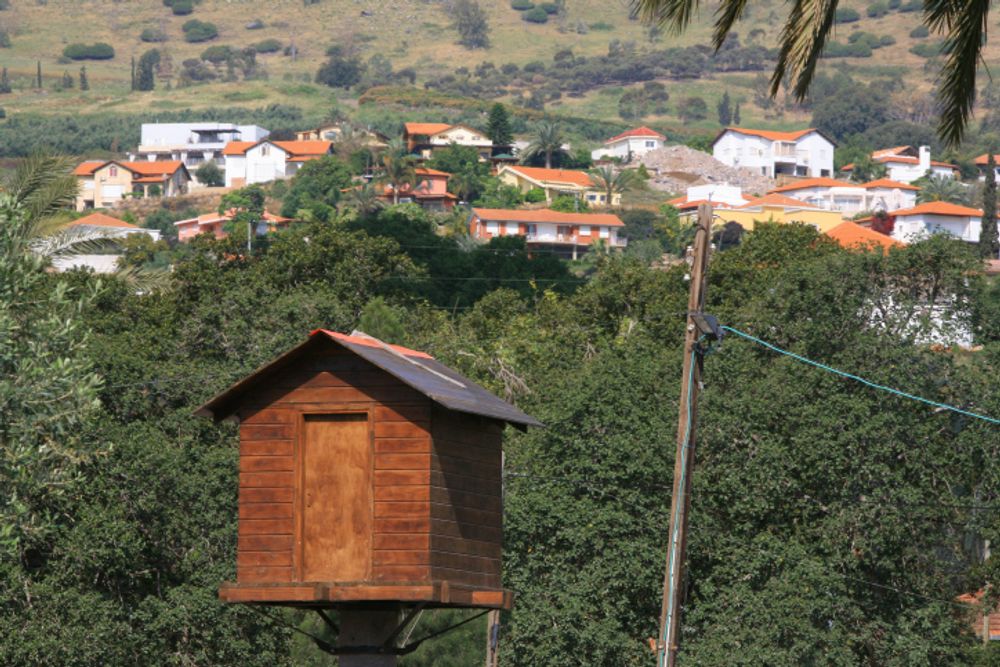 Maiden’s Farm: Women Who Learned Farming 100 Years Ago In Israel - i24NEWS