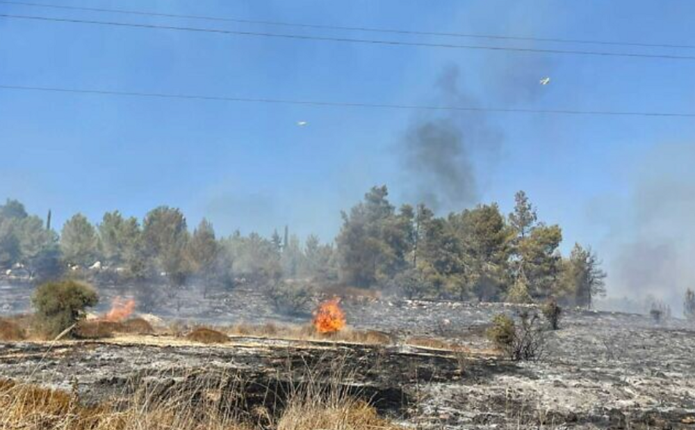 Houses Evacuated As Fire Takes Over Central Israel - i24NEWS
