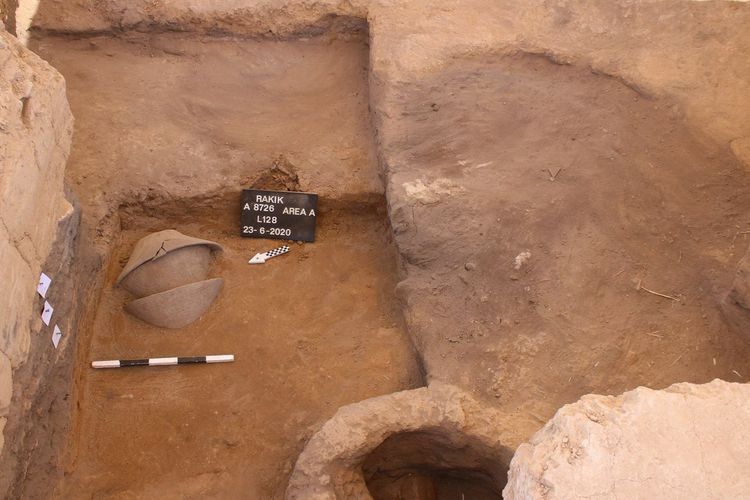 Hidden For Centuries: IAA Unveils 6,000 Year Old Ivory Artifact - i24NEWS