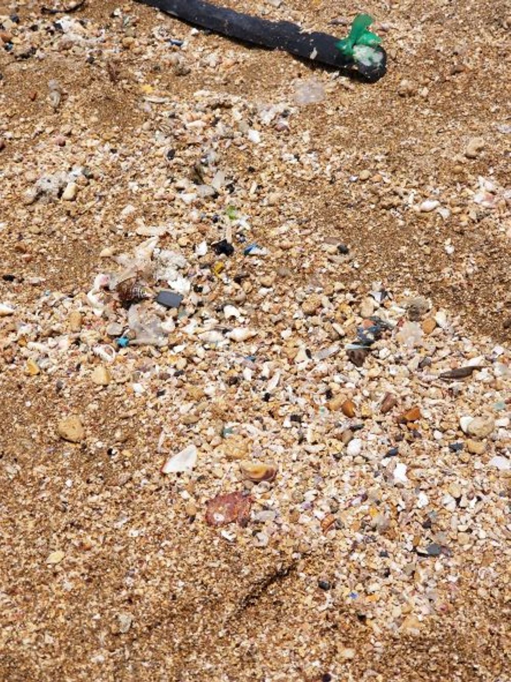 Researchers Warn Of Microplastics Exposure On Israel's Beaches - i24NEWS