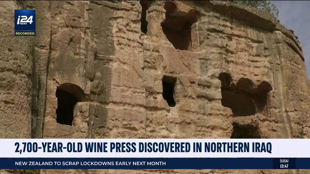 2,700-year-old Wine Press Discovered In Northern Iraq - i24NEWS