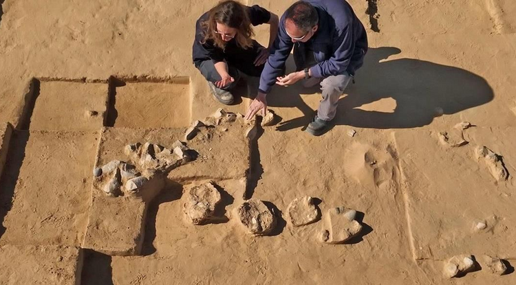Prehistoric Omelet: 4,000-year-old Ostrich Eggs Found In Israel's Negev ...