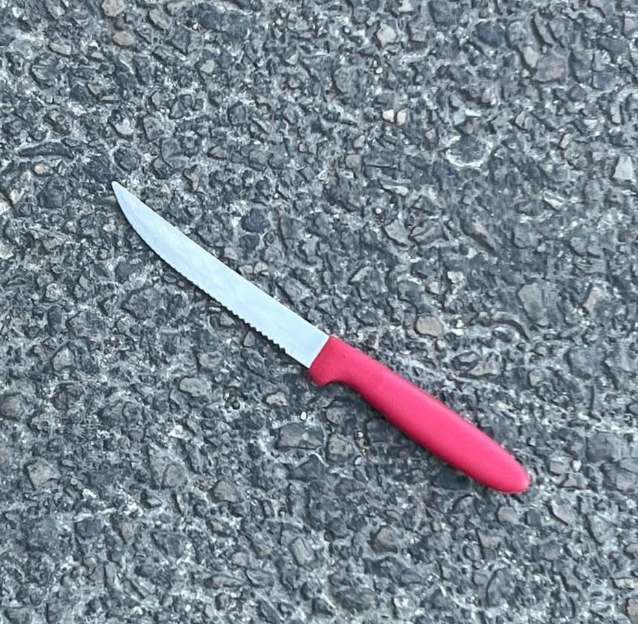 12-year-old Palestinian Arrested After Pulling A Knife On IDF Soldiers ...