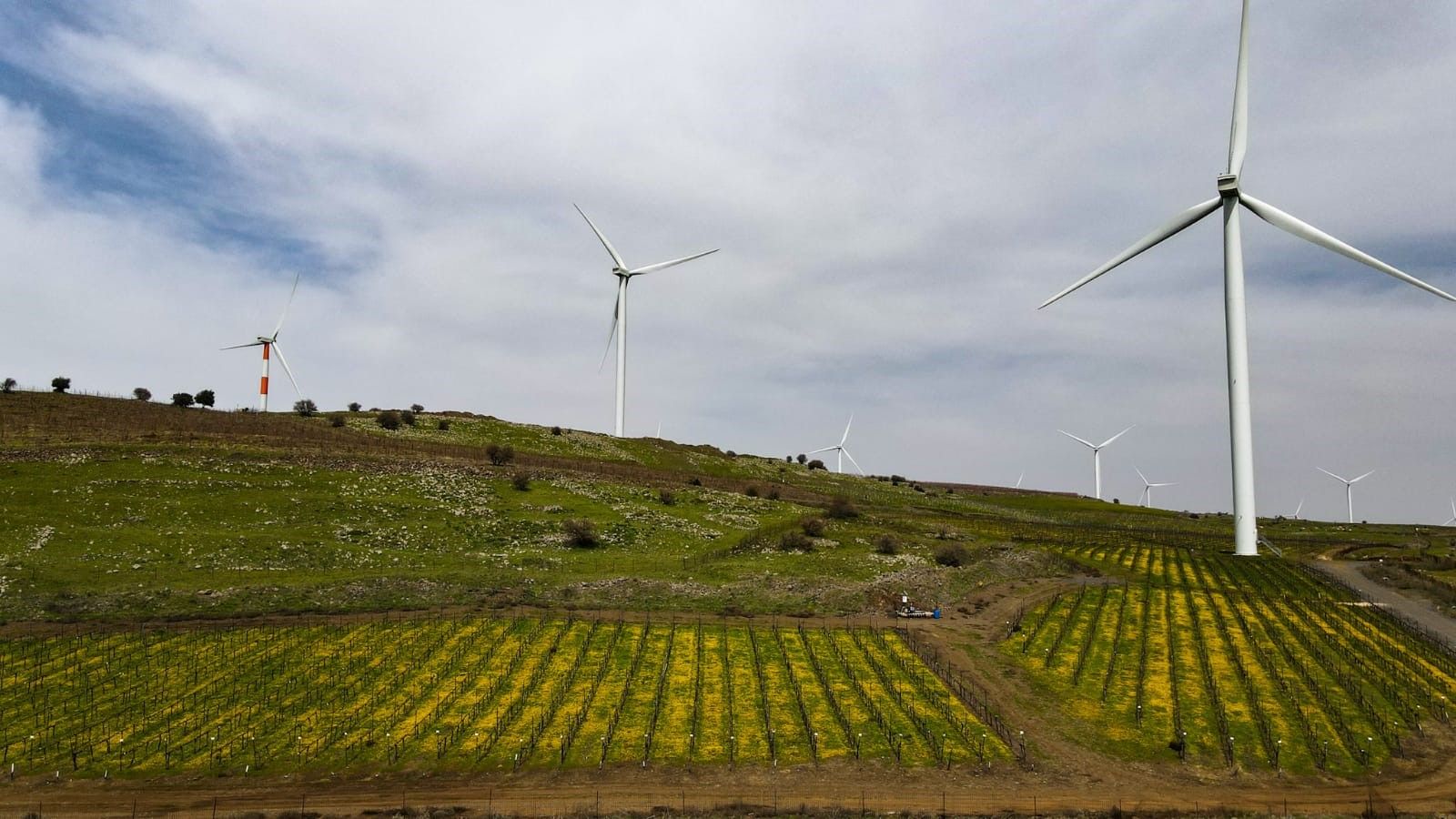 Israel Sets Sights On Increasing Renewable Energy Production With New ...