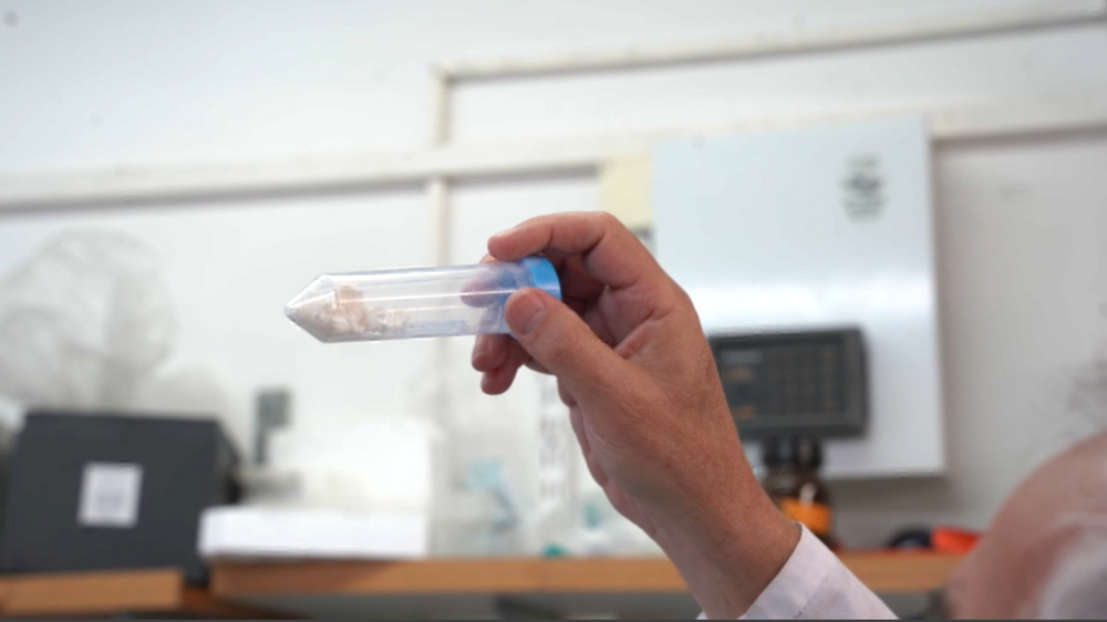 UN CAOUTCHOUC QUI S’INSPIRE DES INSECTES - i24NEWS