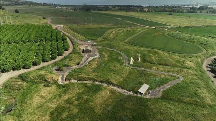 Mammoths And Sabre-tooth Tigers: Israel Opens Prehistoric Garden Of ...