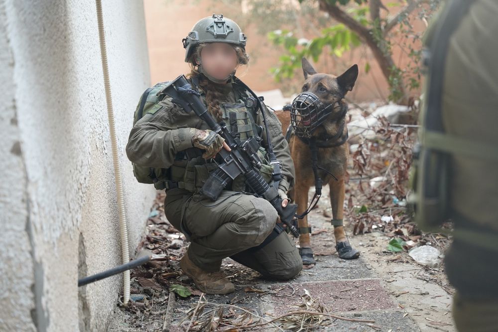 IDF Pays Tribute To Canine Heroes Fallen In Gaza - i24NEWS