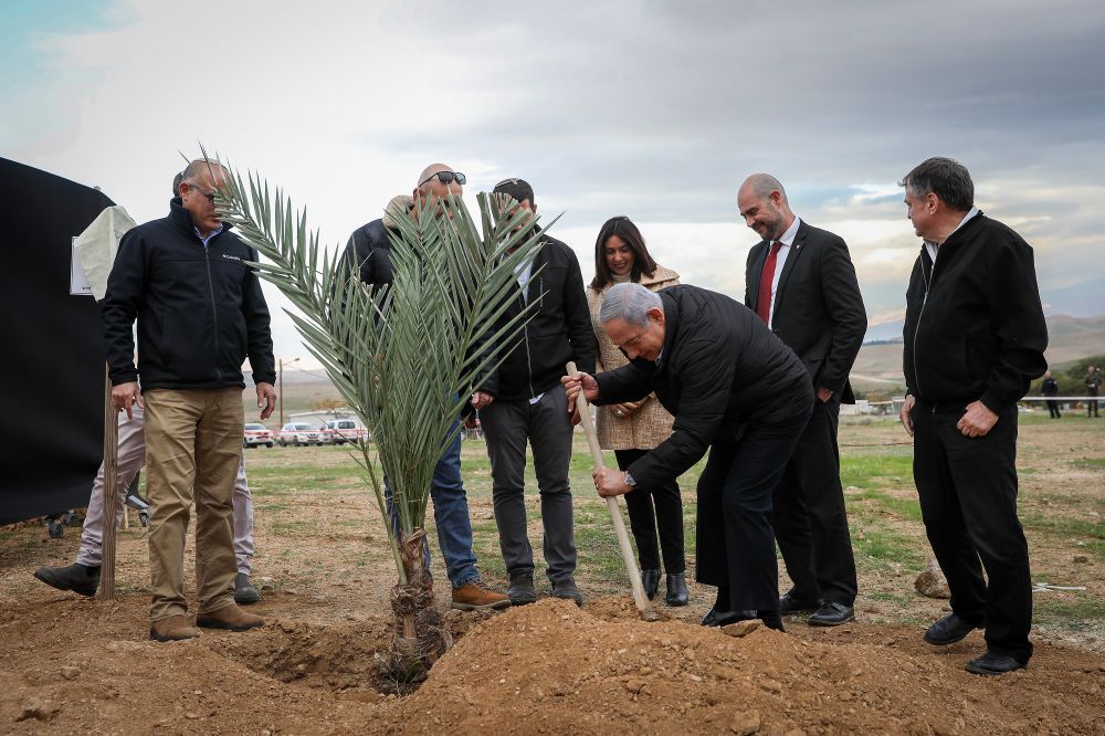 Negev Tree-planting Resumes After Bedouin Riots - i24NEWS