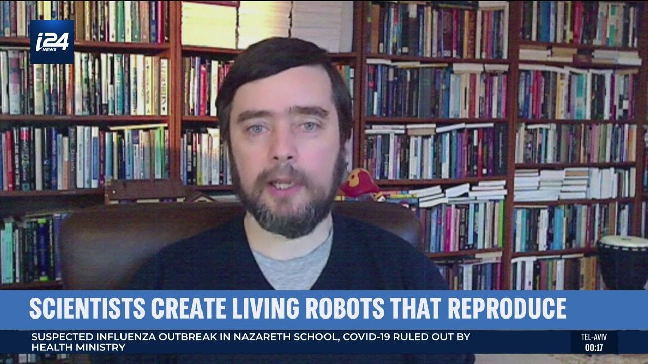 Scientists Create Living 'robots' That Reproduce Called Xenobots - i24NEWS