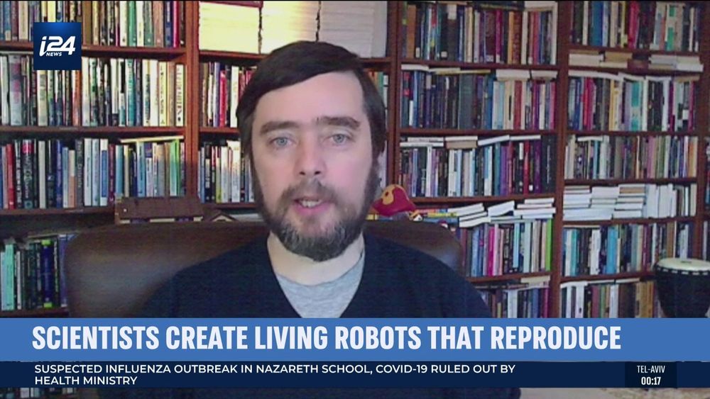 Scientists Create Living 'robots' That Reproduce Called Xenobots - i24NEWS
