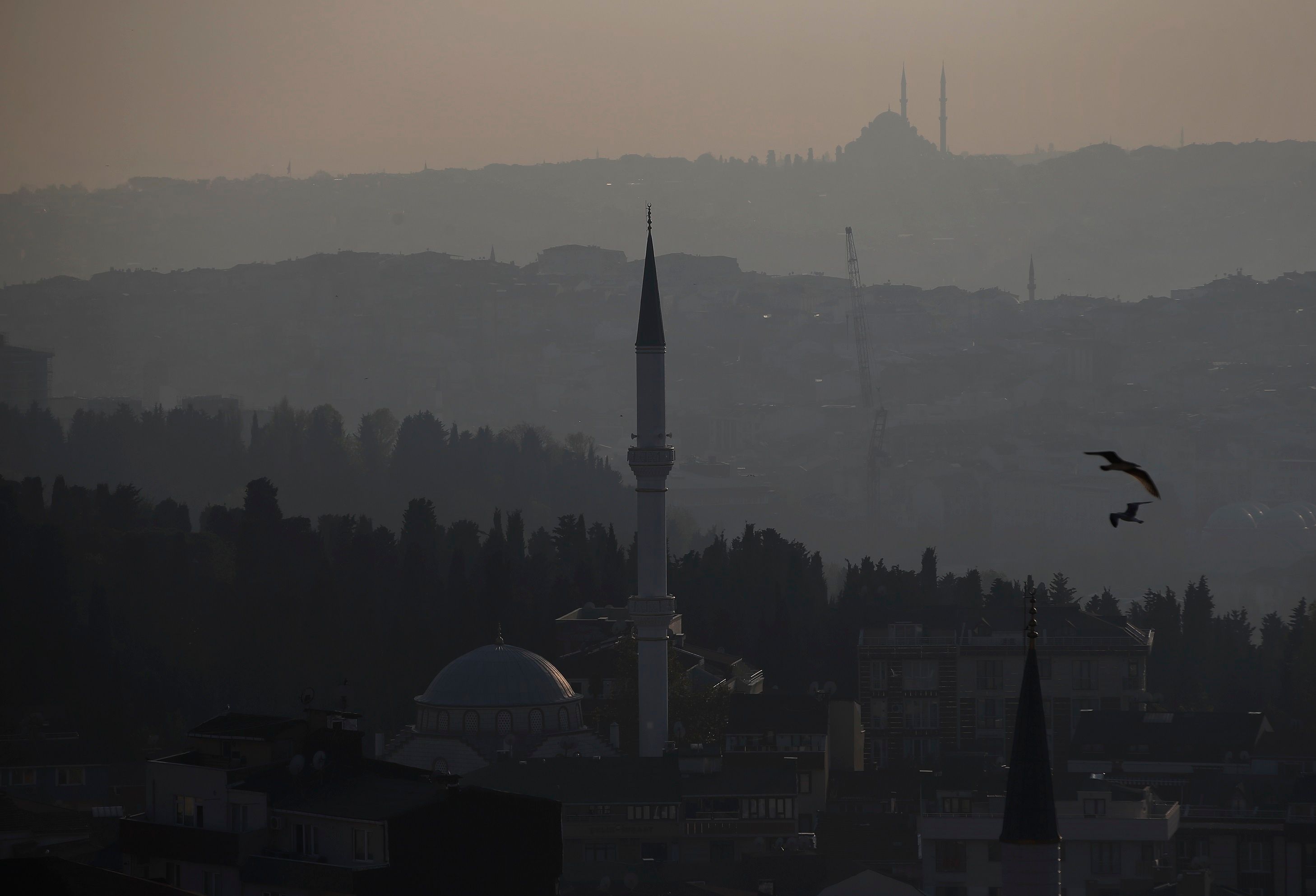 Reports: Iranian Dissident Shot Dead In Istanbul - i24NEWS