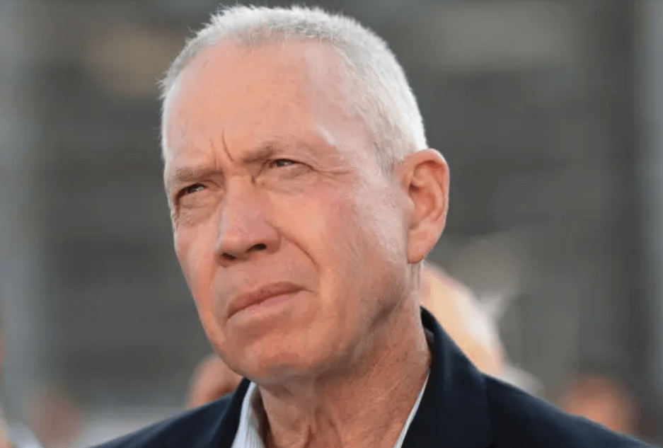 Gallant Says Reservists' Protest Could Undermine Israel's Security ...