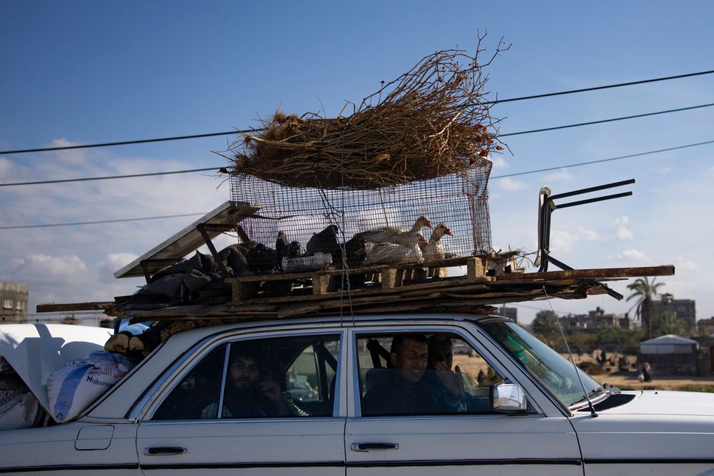 Majority Of Jewish Israelis Support IDF Op. In Rafah, New Survey Shows ...