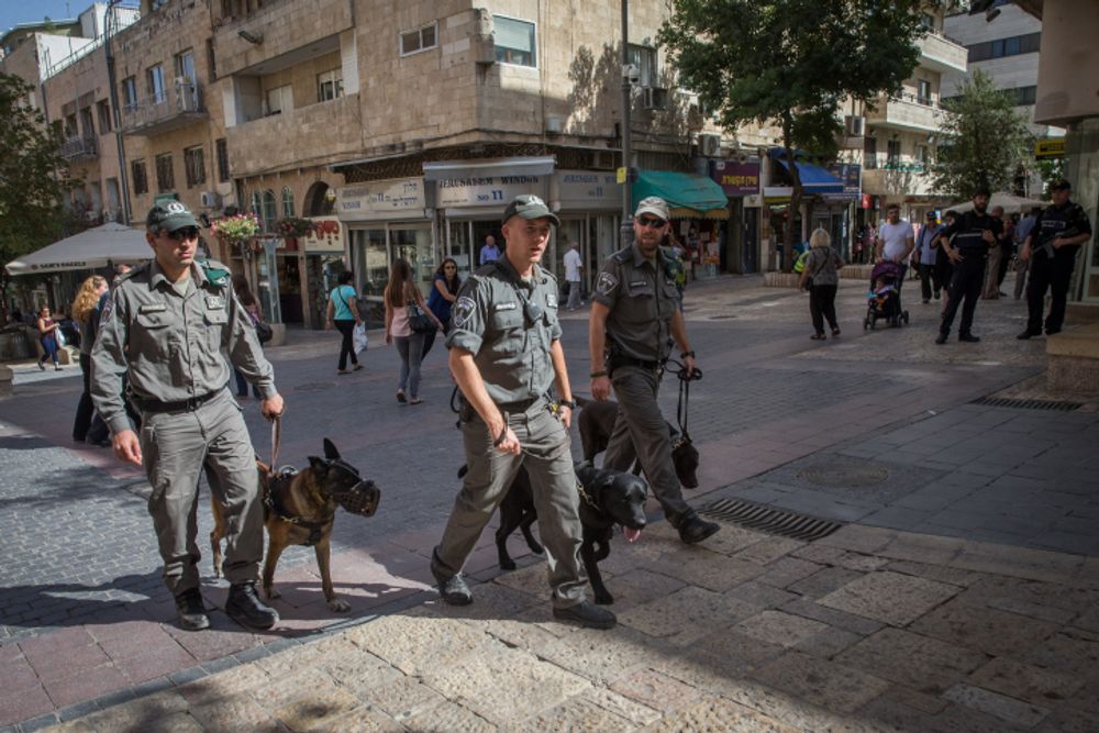 I24NEWS Joins Israeli K9 Unit In Operation To Sniff Out Illegal Weapons ...
