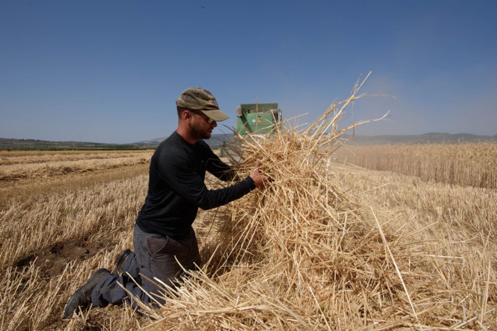 Israel Signs Grain Deal With Azerbaijan, Uzbekistan To ‘ensure Food ...