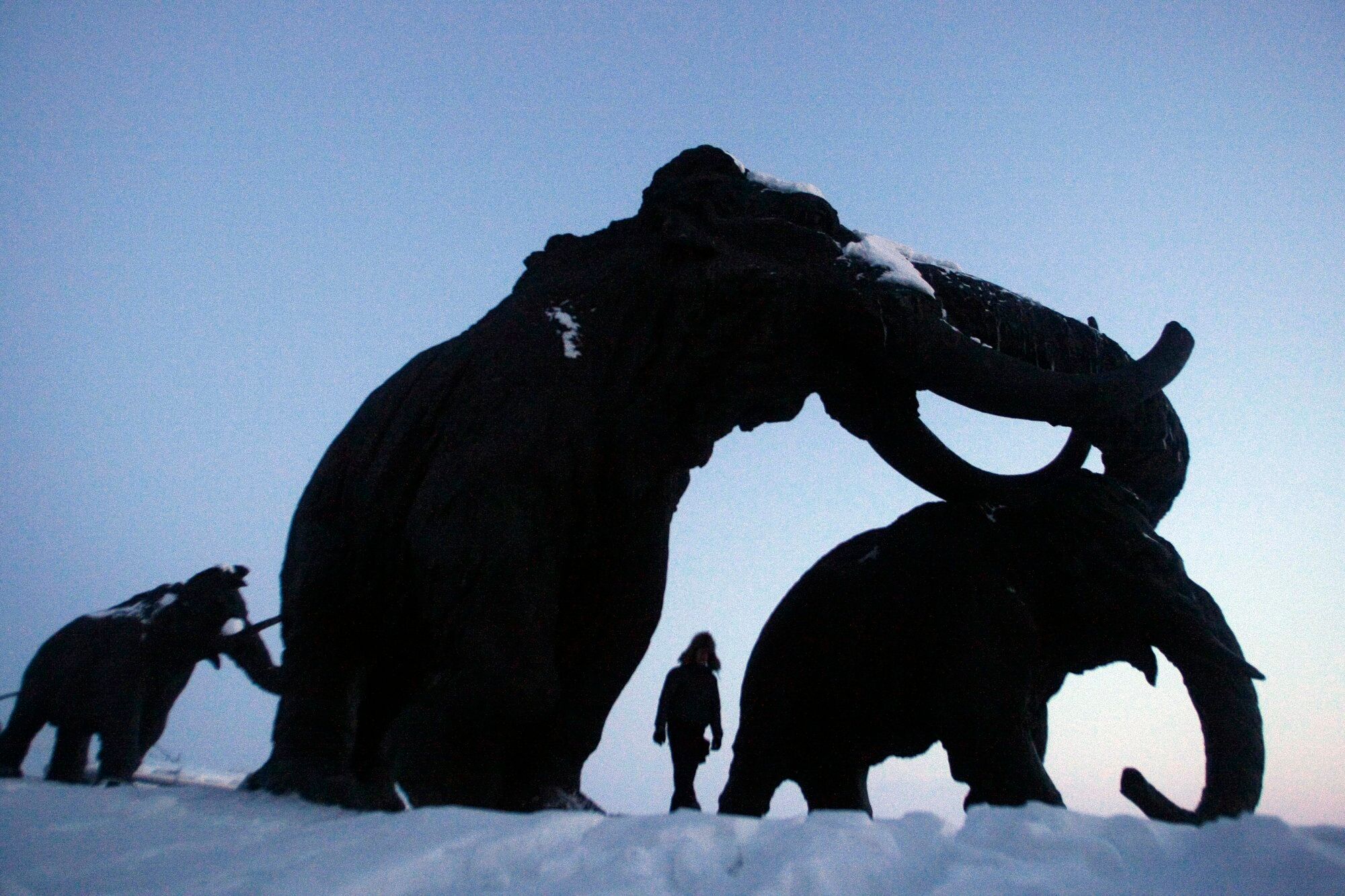 Mammoths And Sabre-tooth Tigers: Israel Opens Prehistoric Garden Of ...