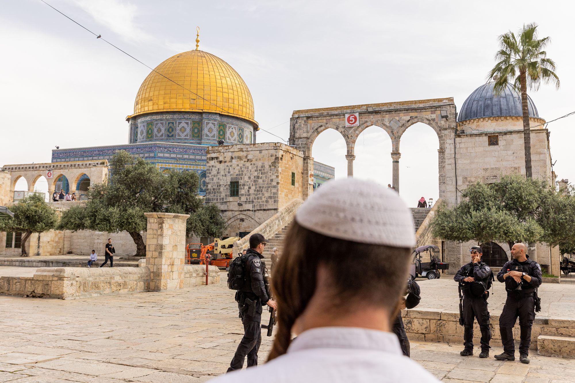 Sacrificial Goat Smuggled Into Temple Mount, Woman Charged With Animal ...